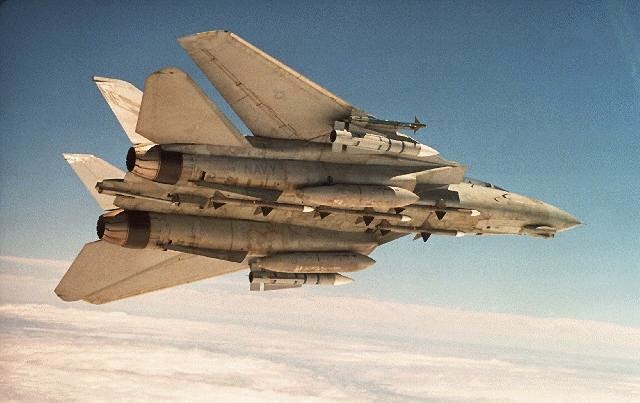 Aviones Caza y Ataque: GRUMMAN F-14 TOMCAT